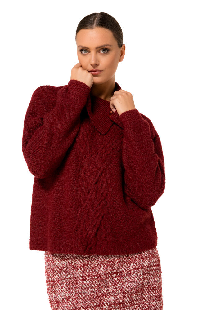 Pull Bordeaux Caroline Biss ( 4225/53 )